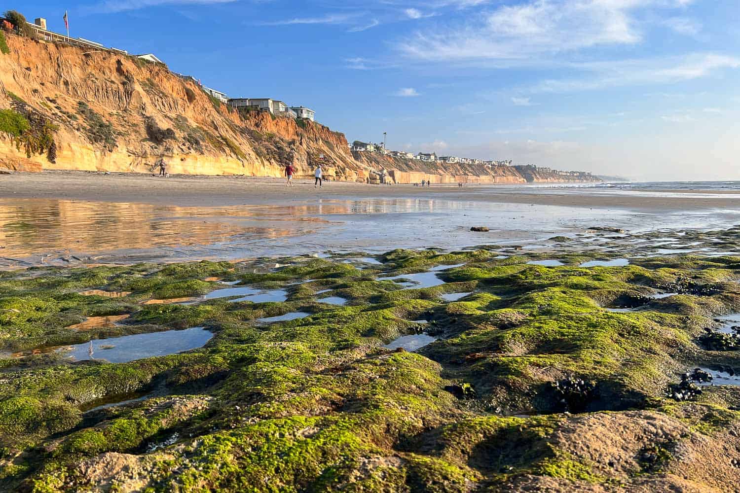 21 Fun Things to Do in Encinitas, California