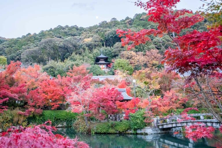 Kyoto in Autumn: 10 Stunning Fall Foliage Spots