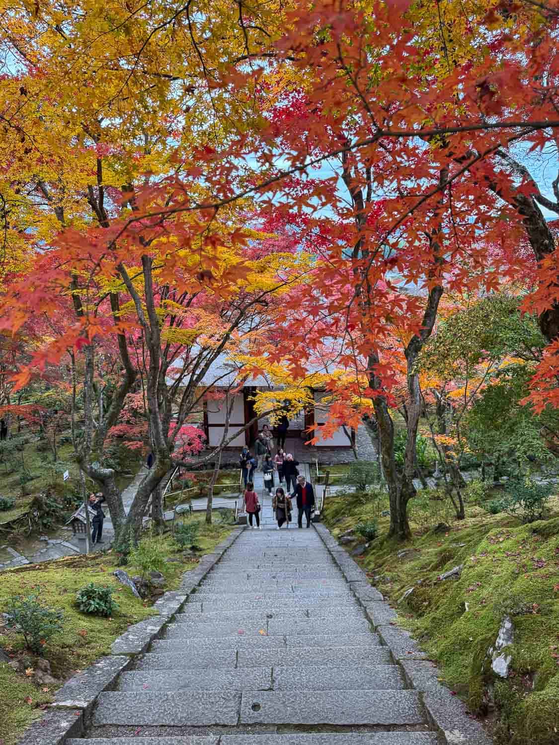 Kyoto in Autumn: 10 Stunning Fall Foliage Spots