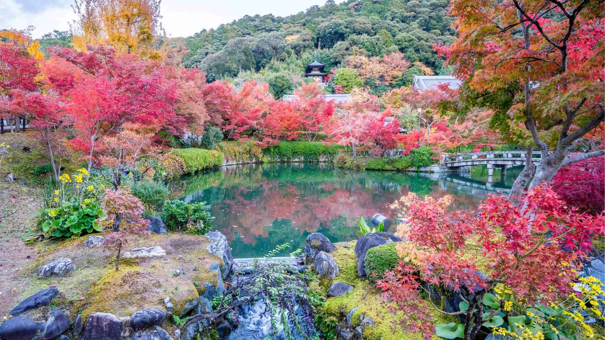 Kyoto in Autumn: 10 Stunning Fall Foliage Spots