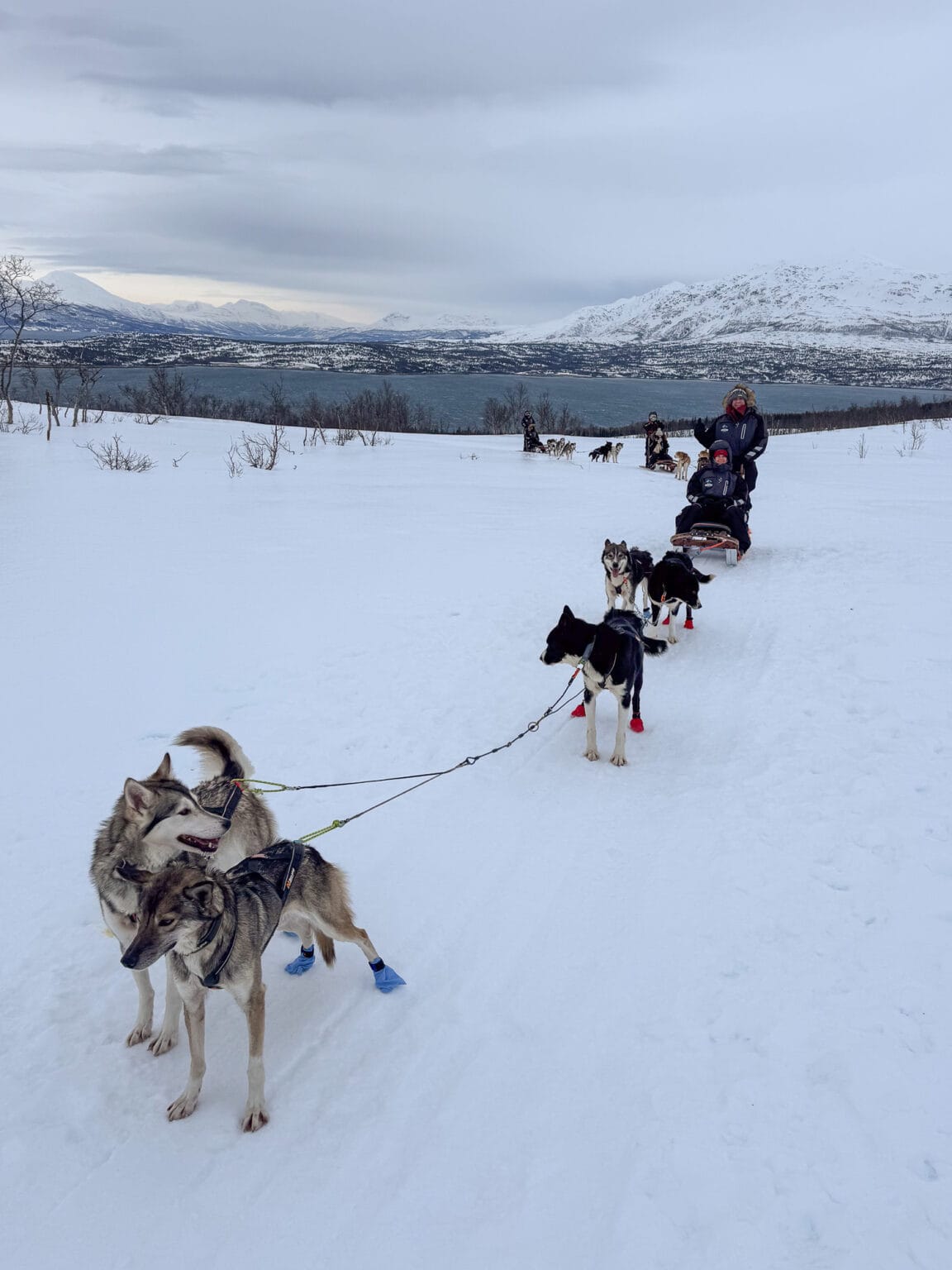 12 Unmissable Things to Do in Tromso in Winter (and What to Skip)