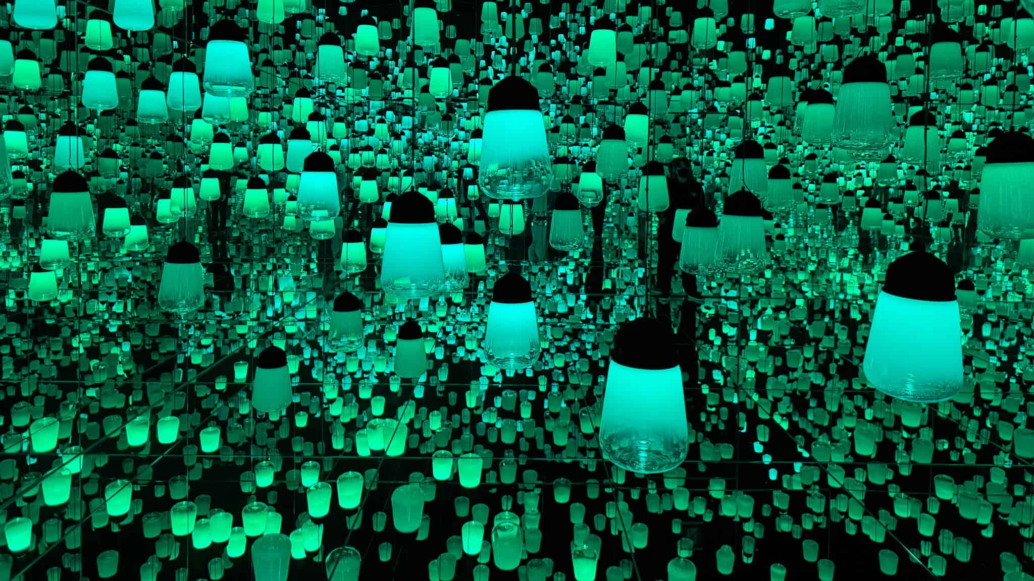 TeamLab Biovortex Kyoto Review and Tips